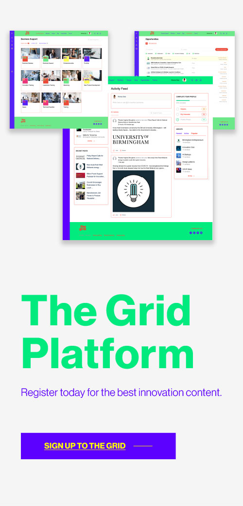 The Grid | Goldfish Digital & Marketing Agency